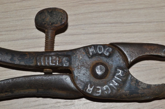 OUTIL ANCIEN - Ancienne pince à annelé le nez des cochons HILLS HOG ...