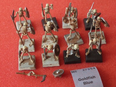 GAMES WORKSHOP WARHAMMER Undead Skeletons Skeleton Warriors Regiment ...
