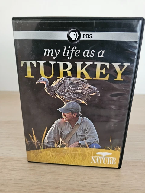 MY LIFE AS A Turkey DVD Region 1 NTSC Joe Hutto Wind River Mountains ...