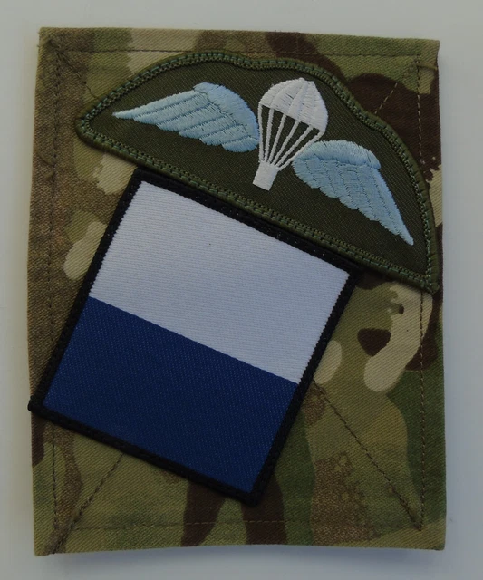 BRITISH ARMY 216 Parachute Signals Squadron MTP/Blanking Panel DZ Flash ...