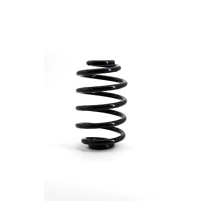GENUINE NAPA REAR Right Coil Spring for Renault Clio 1.6 Litre (09/1998 ...