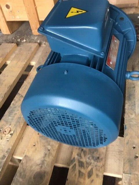 ELECTROMOTORS LTD ALPAK AC Induction Motor D1325D BP19552901 4.5 kW ...