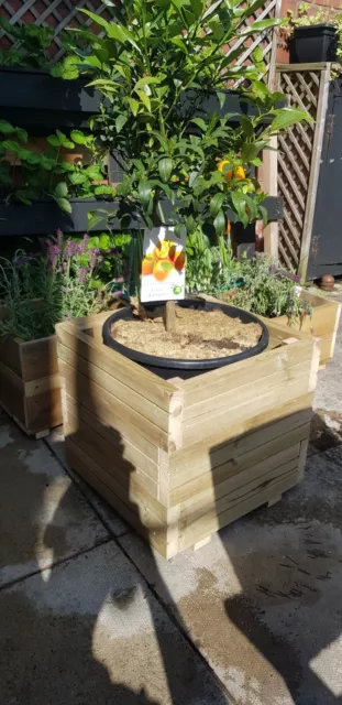 LARGE SQUARE WOODEN Planter Decking Trough Timber Box Garden Wood Plant ...