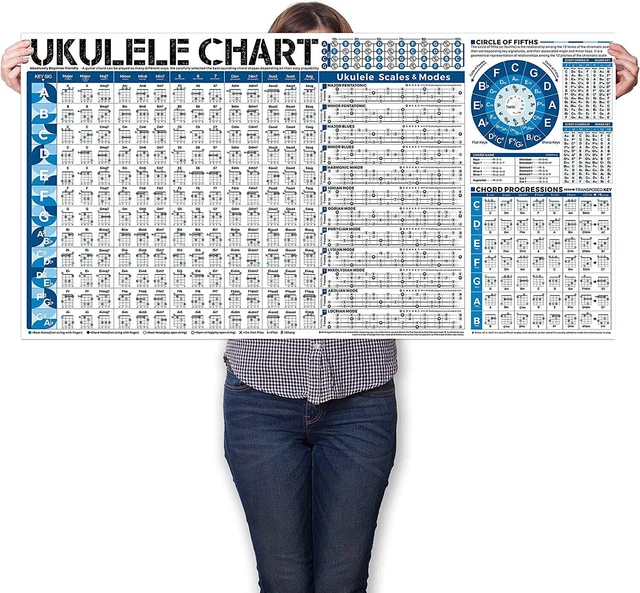 Ukulele Reference Chords Scales Chart Poster 24 X 47 Sealed £8 50