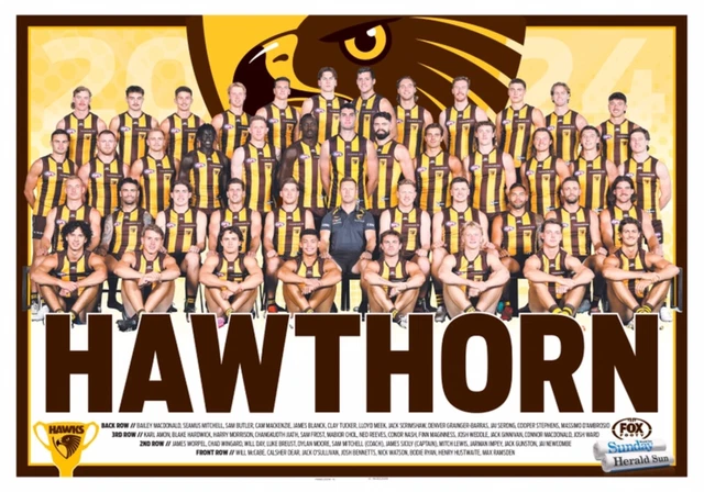 HAWTHORN HAWKS 2024 Afl football TEAM POSTER,BARGAIN 1 EUR 6,62 ...