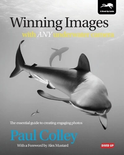 PAUL COLLEY WINNING Images with Any Underwater Camera (Tascabile) EUR 37,25 - PicClick IT