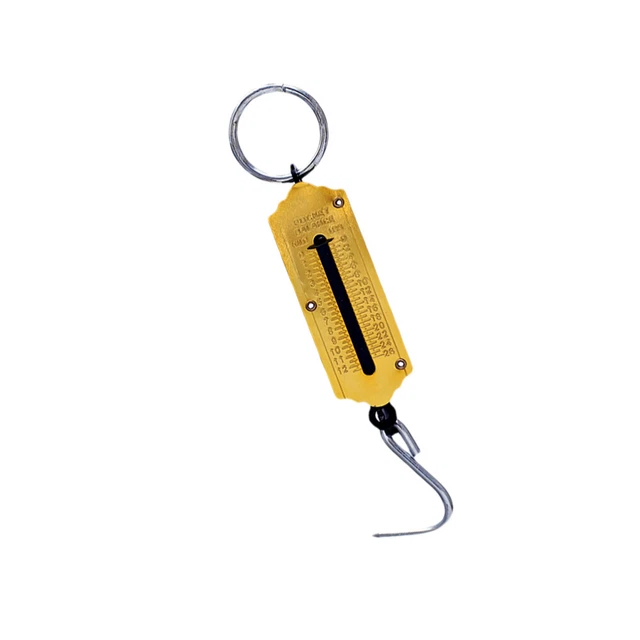 12 KG WEIGHTS Handheld Hanging Scale Vertical Spring Machine Travel $12 ...