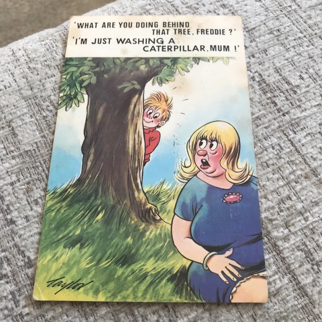 VINTAGE SAUCY SEASIDE Comic Postcard Bamforth Black Triangle No 308 ...