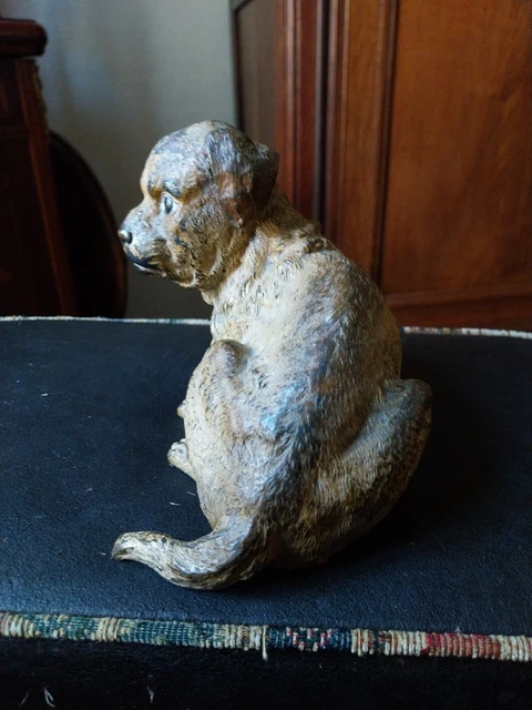 IMPORTANT BRONZE POLYCHROME De Vienne Chiot Labrador Signé GESCHUTZT ...