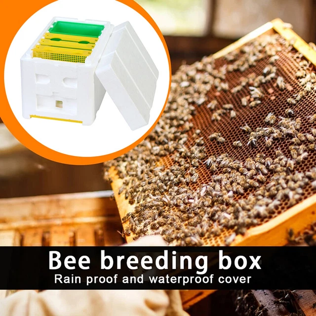 QUEEN BEE BREEDING Mating Beehive Harvesting Pollination Beehive Box ...