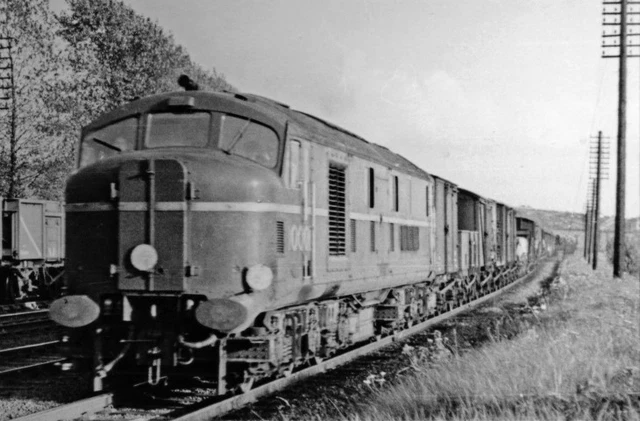 PHOTO PIONEER Lms Diesel 1001 On Down Fast Wcml Freight South Of Tring ...
