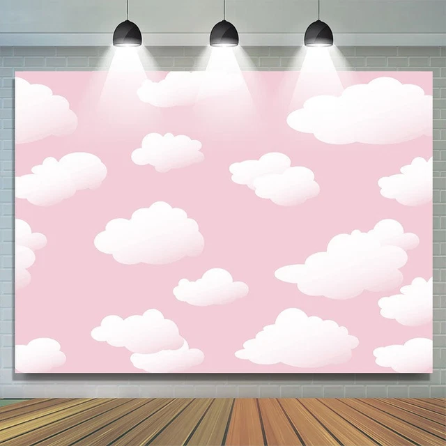 WHITE CLOUD PINK Sky Simple Baby Shower Backdrop $36.01 - PicClick AU