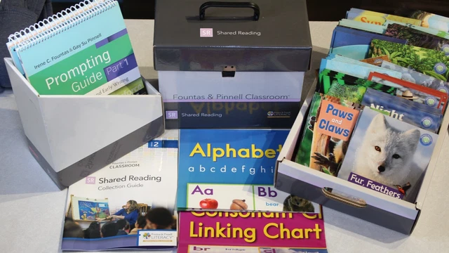 FOUNTAS & PINNELL Classroom Grade 2 Reading Literacy 86 book Guided ...