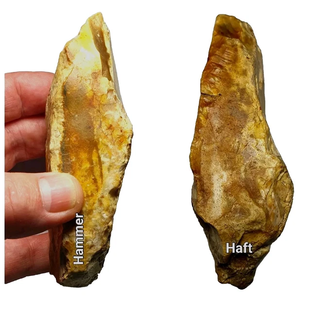 RARE PREHISTORIC BRITISH Early Neolithic Rectilinear Flint Hafting ...