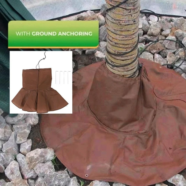 CONSTANT TEMPERATURE TREE Root Protector Winter Palm Tree Root £17.22 ...