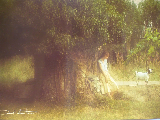 CARTE POSTALE GÉANTE DAVID HAMILTON Format 24x32cm Femme Woman EUR 14 ...