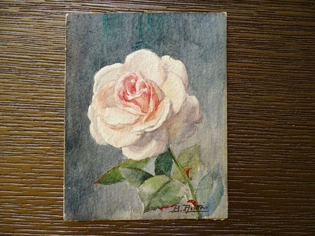 AQUARELLE DE FLEUR de rose - Dessin ancien EUR 20,00 - PicClick FR AQUARELLE DE FLEUR de rose - Dessin ancien EUR 20,00 - PicClick FR