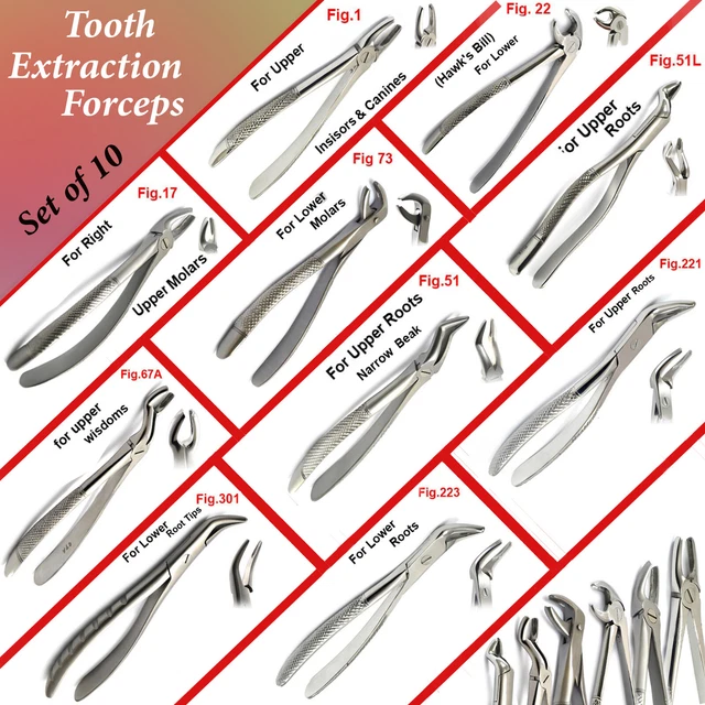 ORTHODONTIC SURGICAL EXTRACTION Forceps for Upper Lower Molars Tooth ...