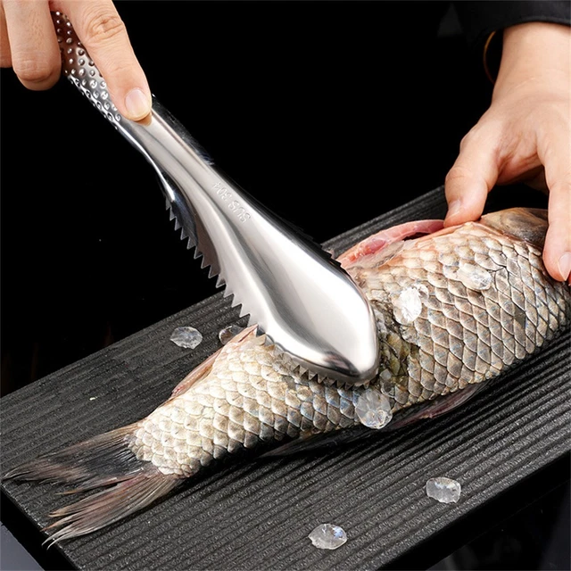 USER FRIENDLY STAINLESS Steel Fish Scaler for Safe Scale and Gill ...