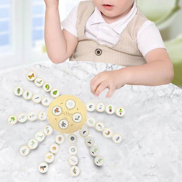 EARLY EDUCATIONAL LIFE Cycle Model Set Montessori Puzzles for Teaching ...