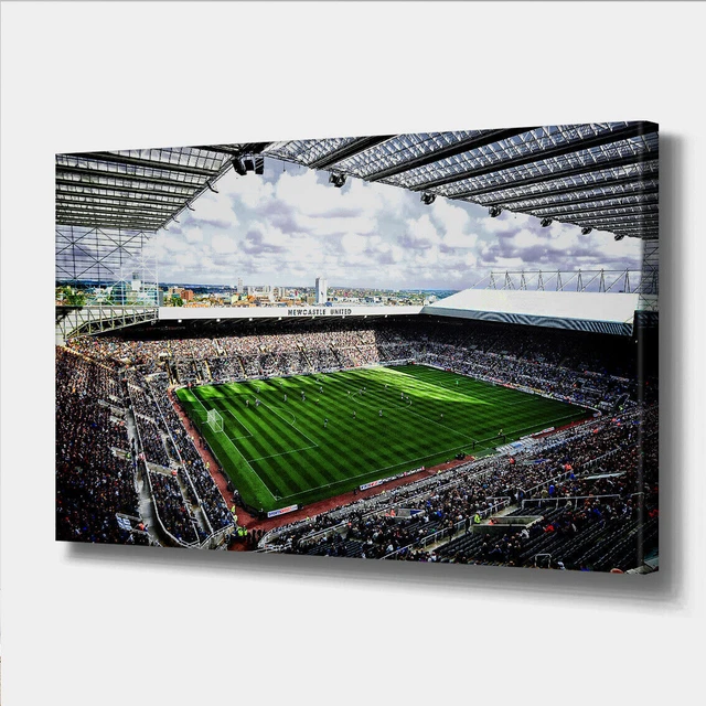 NEWCASTLE UNITED FC St James Park Stadium 3D Puzzle TA7171 £32.59 ...