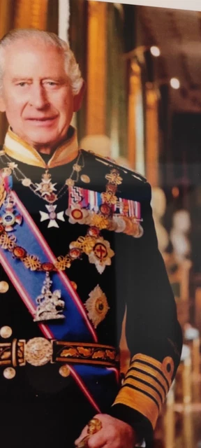 FRAMED PORTRAIT OF His Majesty King Charles III £27.50 - PicClick UK