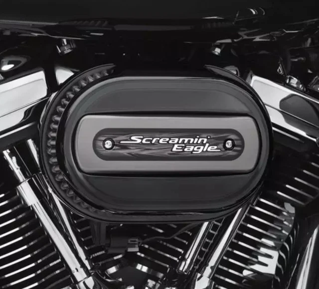 HARLEY DAVIDSON SCREAMIN’ Eagle Ventilator Air Cleaner Kit M8 Engine ...