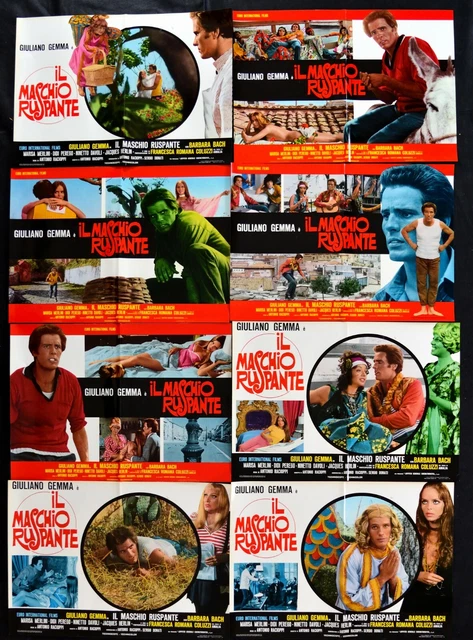 FOTOBUSTE IL MASCHIO RUSPANTE Giuliano Gemma Barbara Bach Bambola Doll ...