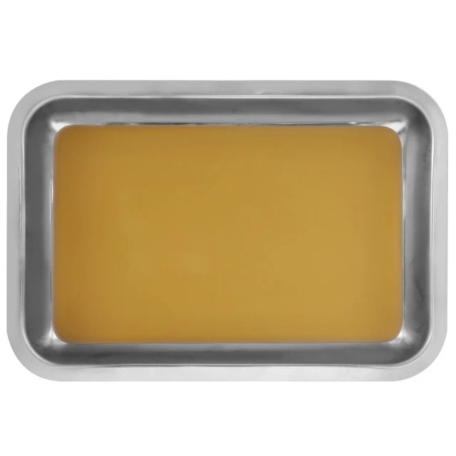 PLATEAU D'ANATOMIE DE Dissection En Métal Plaque Cire Plateaux EUR 19 ...