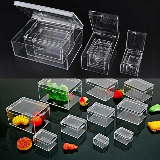 CLEAR PLASTIC BOX for Insect Specimen Display and Home/ Office Storage ...