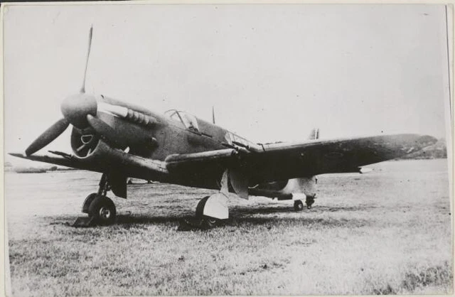 A FAIREY FIREFLY Mk 1 naval fighter aircraft ca 1944 AVIATION OLD PHOTO ...