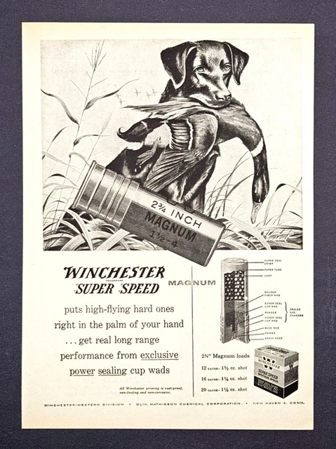 WINCHESTER MAGNUM SHOTGUN shells ad vintage 1956 original advertisement ...