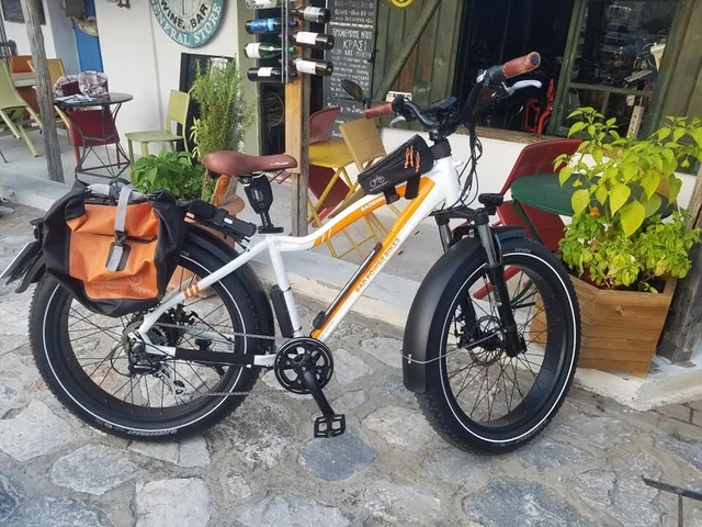 RAD POWER 2020 Rhino electric bike, 750 watt 14 Ah battery w kevlar tires EUR 800,00 - PicClick DE