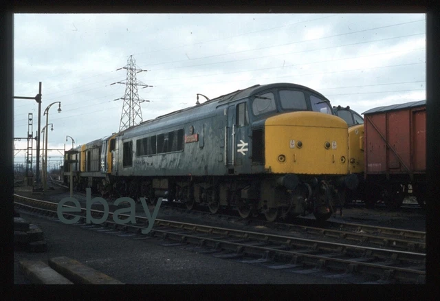 ORIGINAL 35MM SLIDE- 'Peak' Class 45/0 - 45006 on shed at Wath TMD c ...