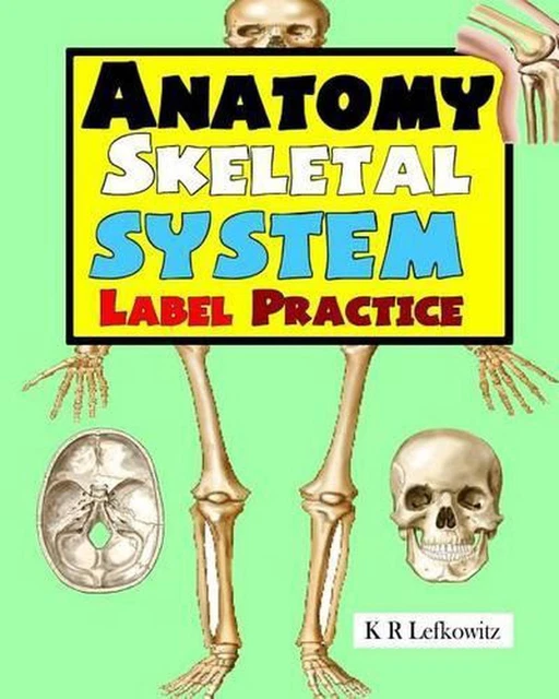 ANATOMY SKELETAL SYSTEM Label Practice By K R Lefkowitz English