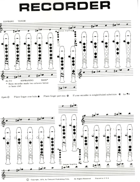 THE RECORDER LAMINATED Guide Soprano Tenor Fingering Chart Brand New On ...