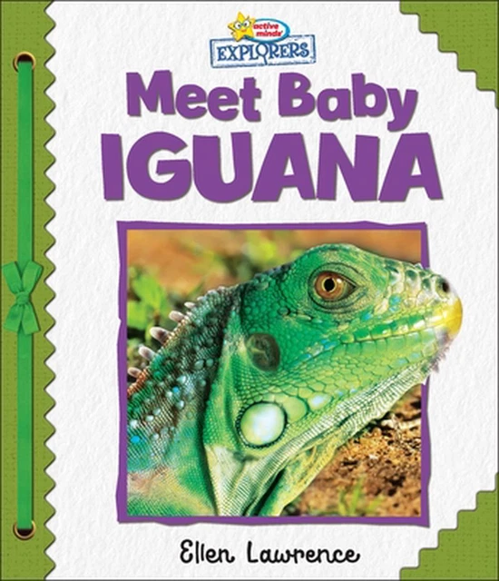 ACTIVE MINDS EXPLORERS: Meet Baby Iguana by Ellen Lawrence (English ...