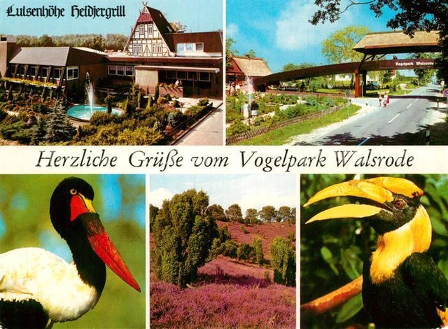 73002729 VOEGEL VOGELPARK Walsrode Luisenhoehe Heidjergrill EUR 4,90 ...