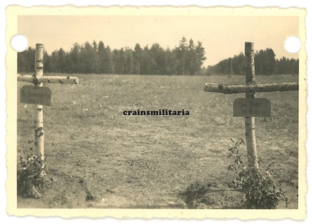 Orig Foto Grab Pilot Verbindungsstaffel 66 Vor Mogilew Weissrussland 1941 Eur 799 Picclick De