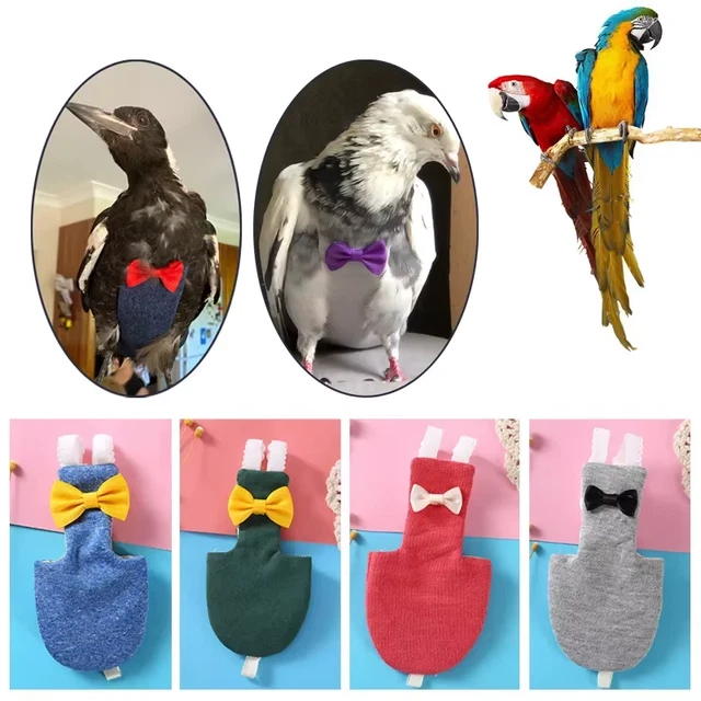 BIRD PARROT DIAPER Flight Suit Nappy Clothes for Green Cheek Conure ...