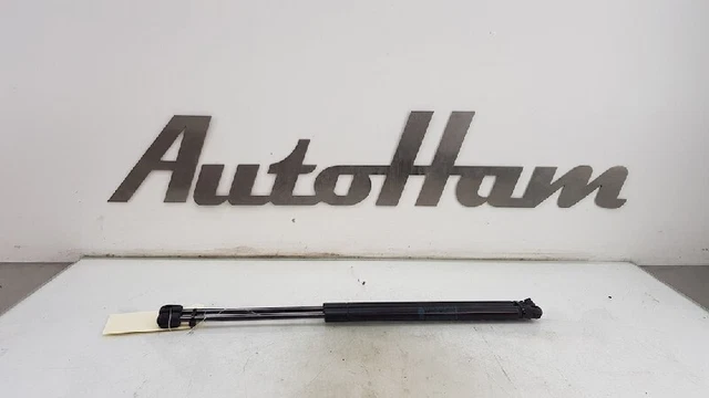 SET AMMORTIZZATORI A GAS POSTERIORI LUNOTTO/BAULE Countryman (R60 ...