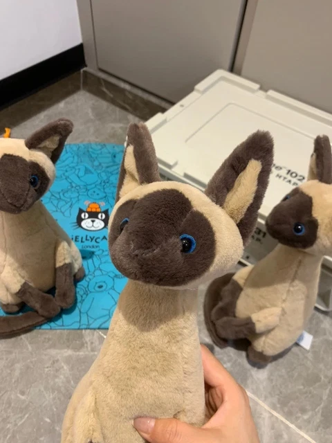 JELLYCAT VALENTINE'S DAY Gift IRIS SIAMESE CAT Soft Plush Toy NWT ...