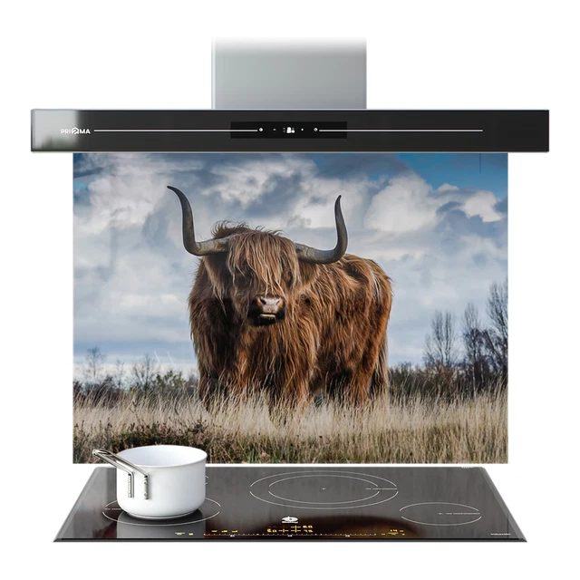 KITCHEN GLASS SPLASHBACK Toughened Cooker ANY SIZE Highland Cow Bull ...