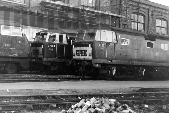 35MM NEGATIVE BR British Railways Diesel Loco Class 35 Hymek D7001 c1960s £3.99 - PicClick UK