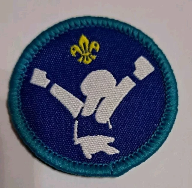 OLD LOGO EXPLORER Scout Physical Recreation Proficiency/ Activity Award Badge £1.30 - PicClick UK