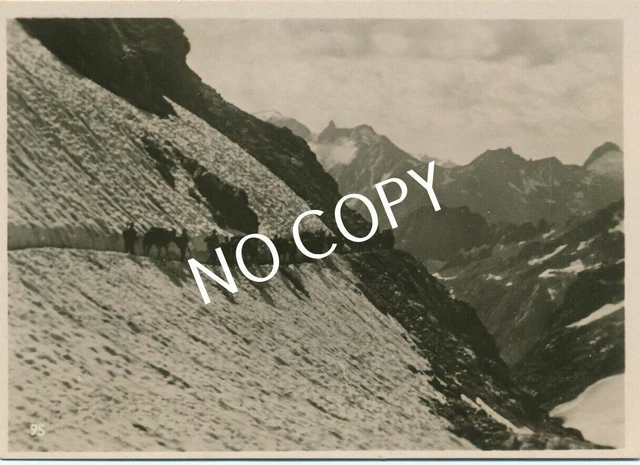 FOTO WK II Operation Edelweiß Gebirgsjäger Kaukasus Pferde Russland ...