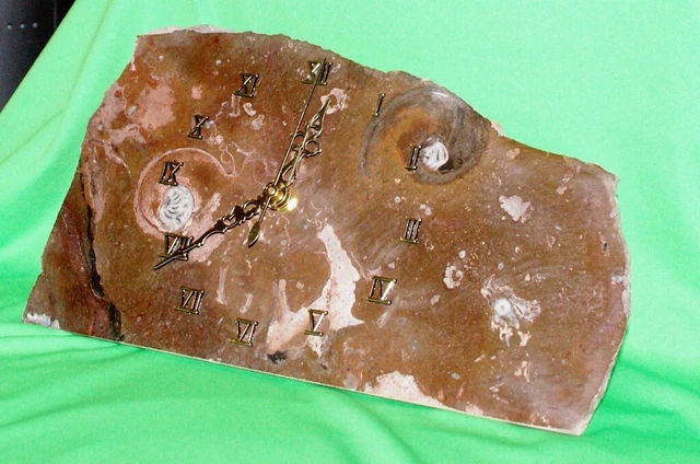 PENDULE - HORLOGE FOSSILES AMMONITES GONIATITES véritable H. 21 cm X 25 ...