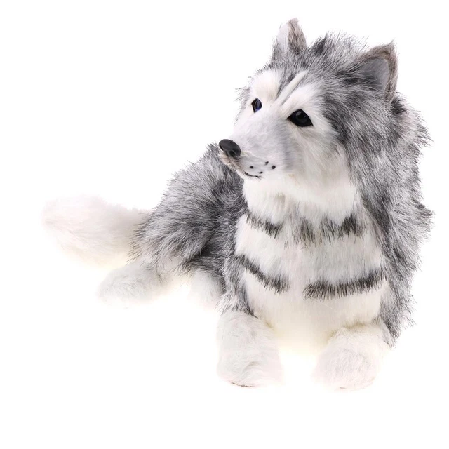LIFELIKE HUSKY DOG Real Soft Feather Replica for Photography Prop Farm ...