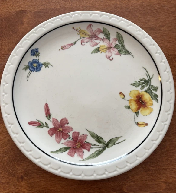 VINTAGE SOUTHERN PACIFIC Railroad Prairie-Mountain Syracuse China ...