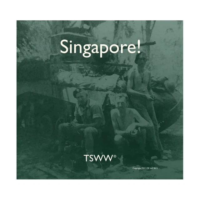 DIFFRACTION TSWW WARGAME Singapore! (Colonel's Édition) Boîte VG+ EUR ...